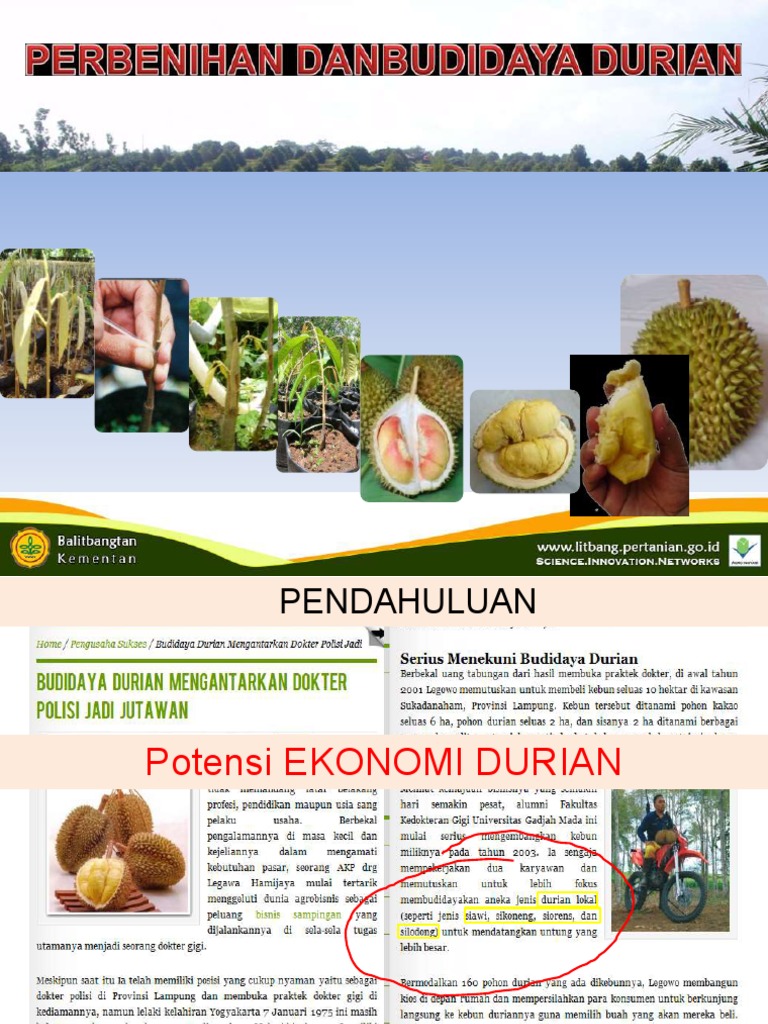 Budidaya Durian | PDF