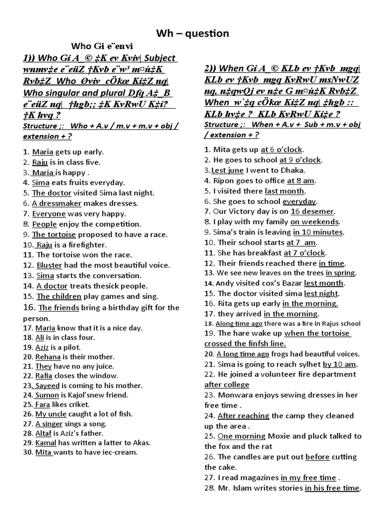 WH - Question (Question) Ans | PDF