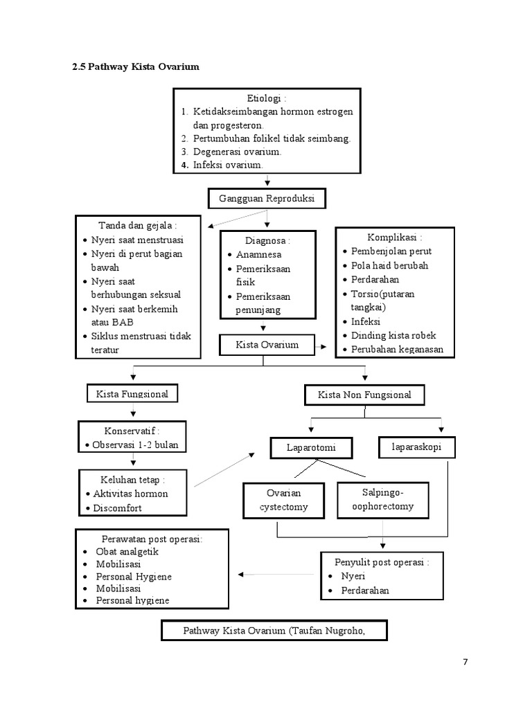Pathway dan Diagnosa Kista Ovarium | PDF