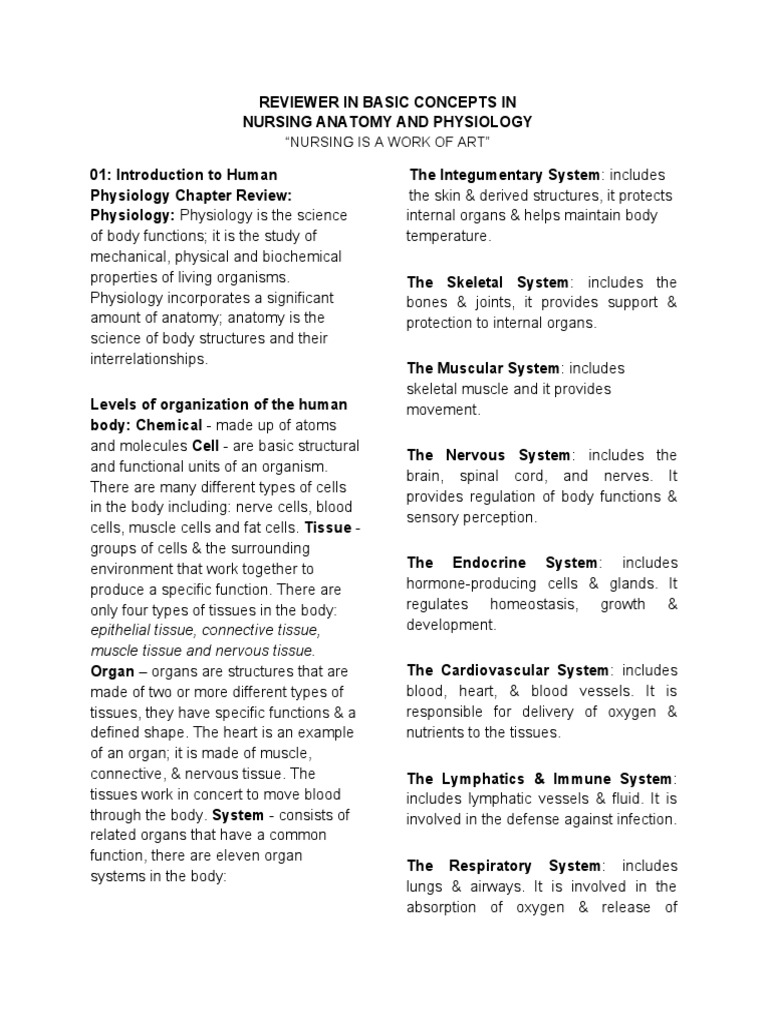 Anatomy and Physiology Reviewer | PDF | Human Body | Skin