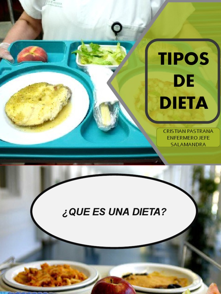 1 - Tipos de Dieta | PDF | Dieta | Alimentos