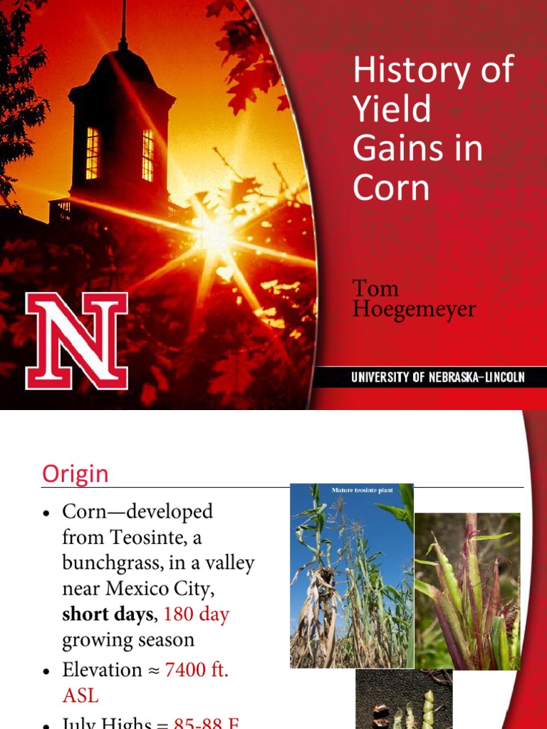 Evolution of Corn Yield Improvements | PDF
