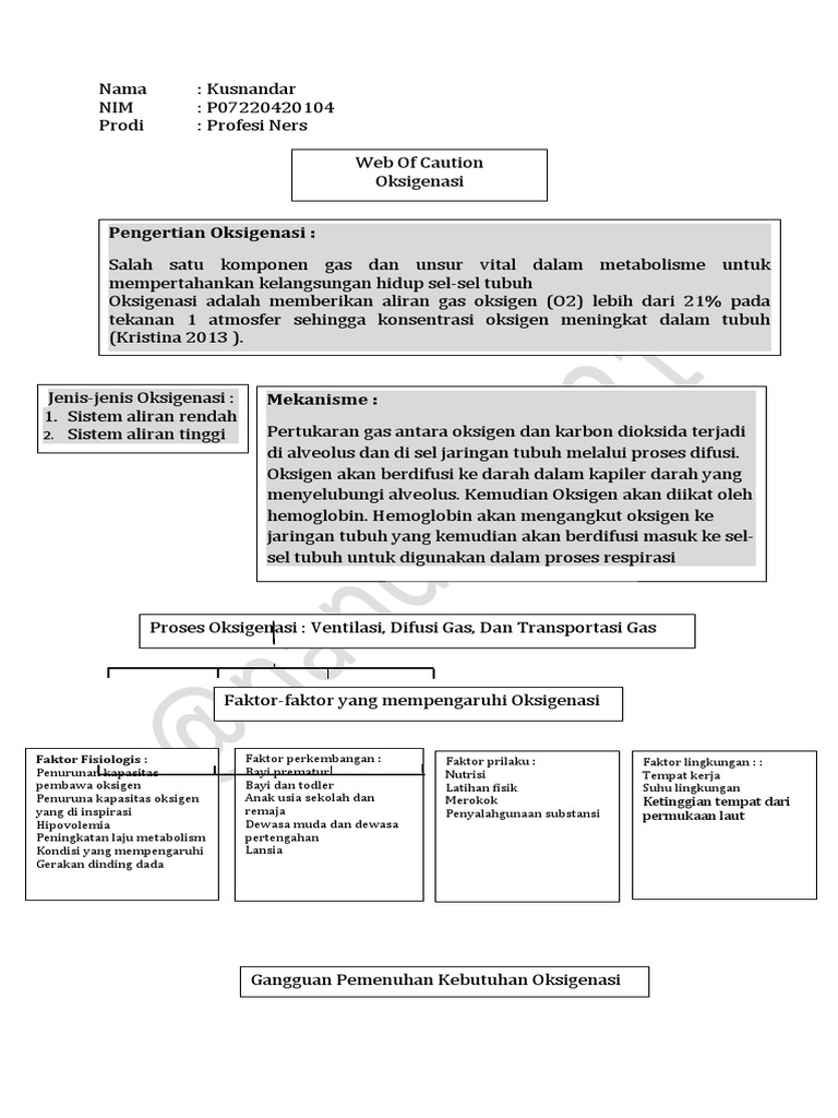 WOC Oksigenasi | PDF