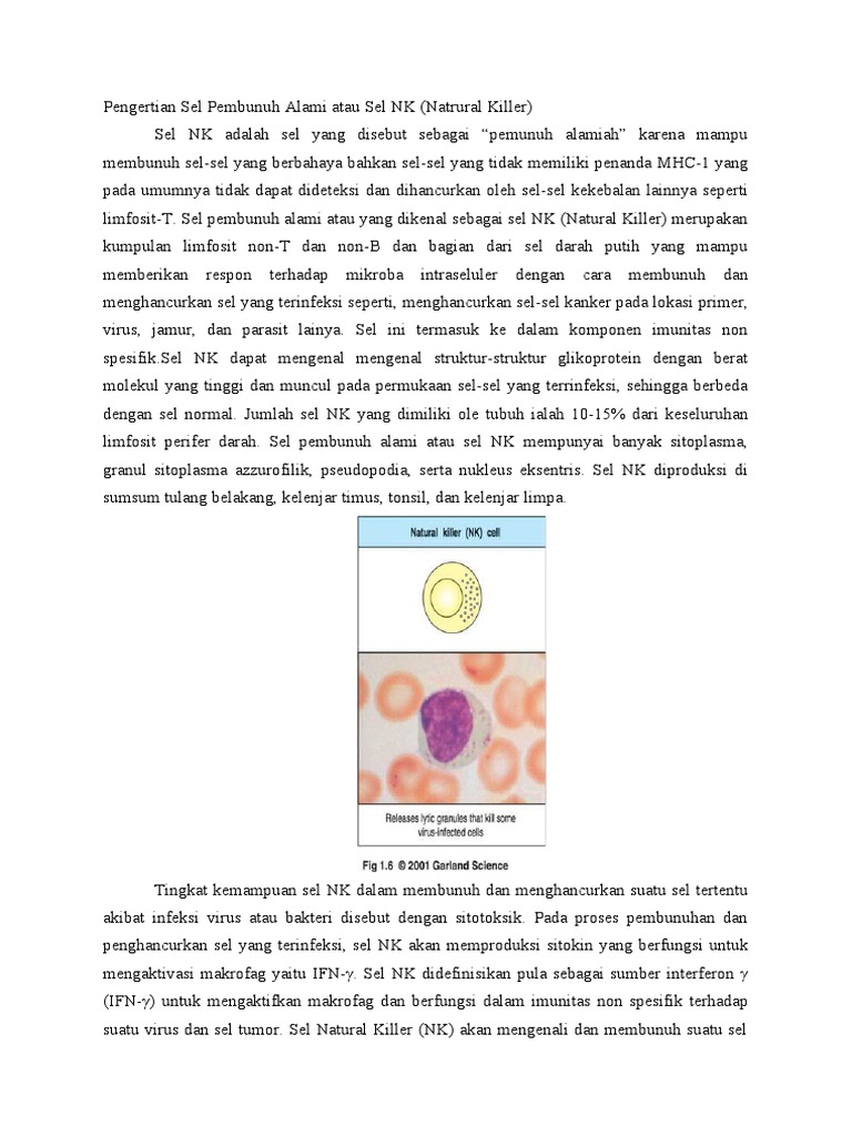 Biomedik Peng. Sel NK | PDF