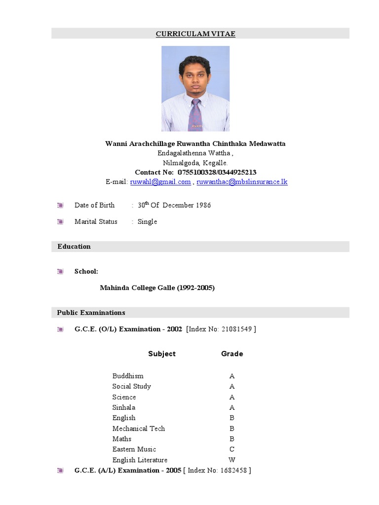 Wantha Medawatta - CV | PDF | System | Information System