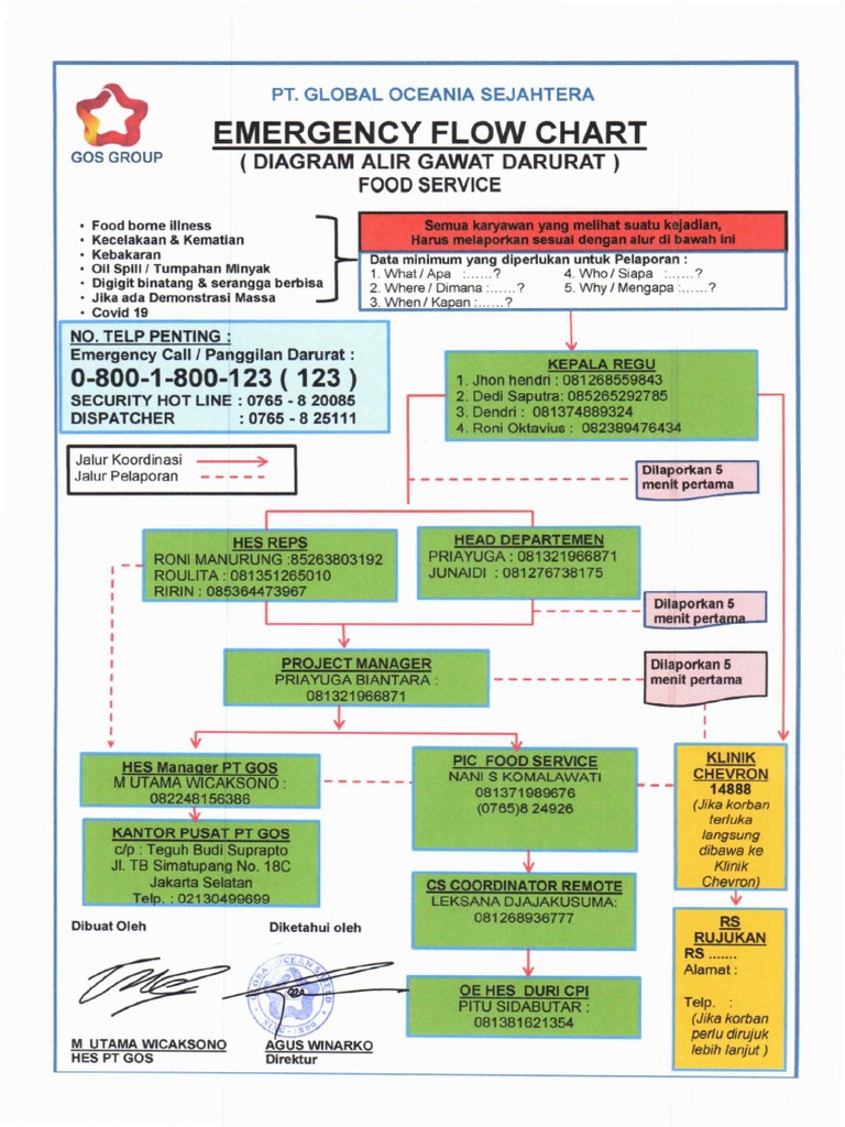 Emergency Flow Chart | PDF