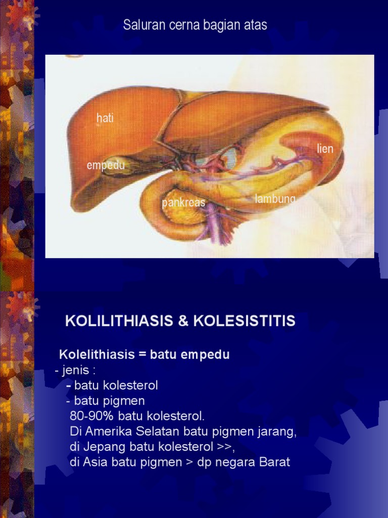 Batu Empedu | PDF