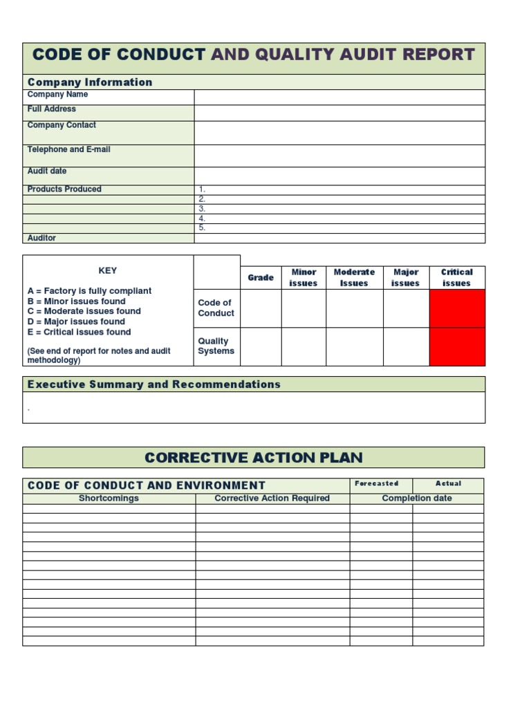 Fiji TCF MIIF Audit Document | PDF | Overtime | Working Time