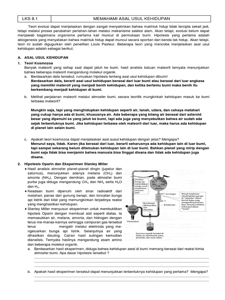 LKS 8.1 Evolusi | PDF