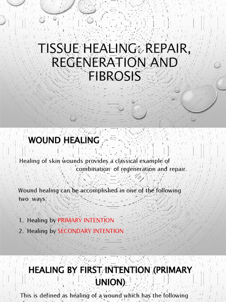 Tissue Healing: Repair, Regeneration and Fibrosis | PDF | Wound Healing ...