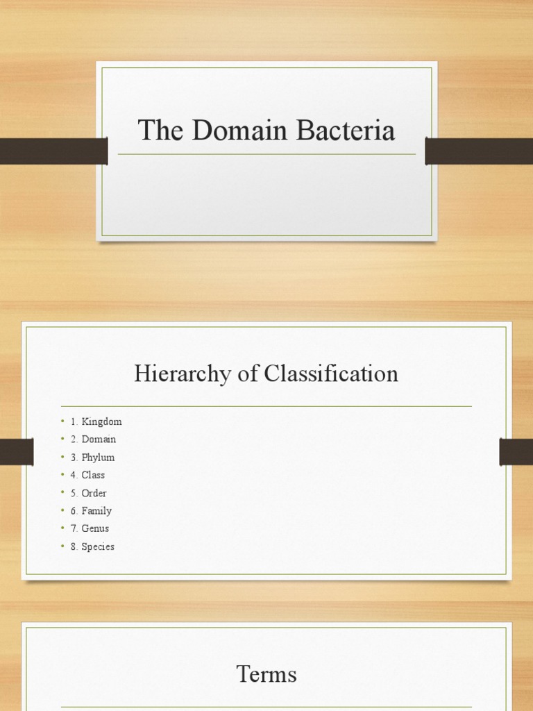 Bacteria Domain Hierarchy Classification | PDF | Cyanobacteria | Bacteria