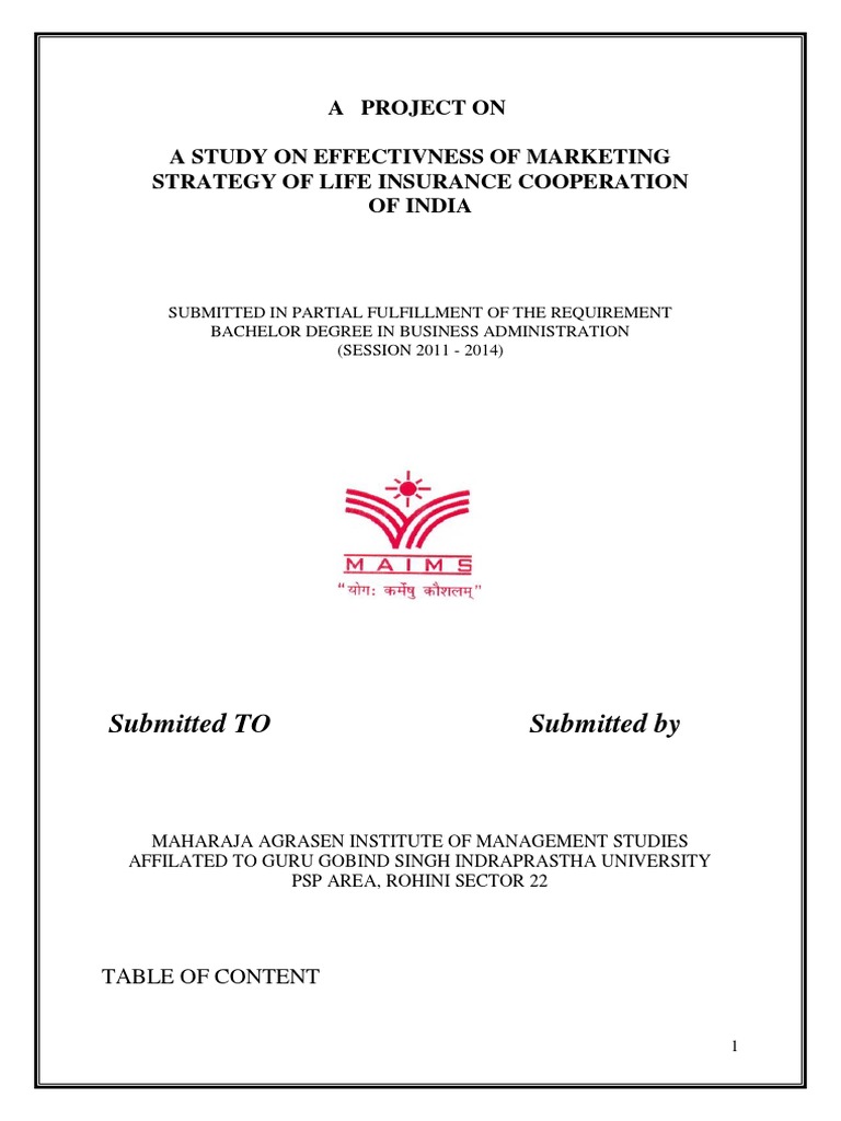 LIC Project Report | Download Free PDF | Strategic Management ...