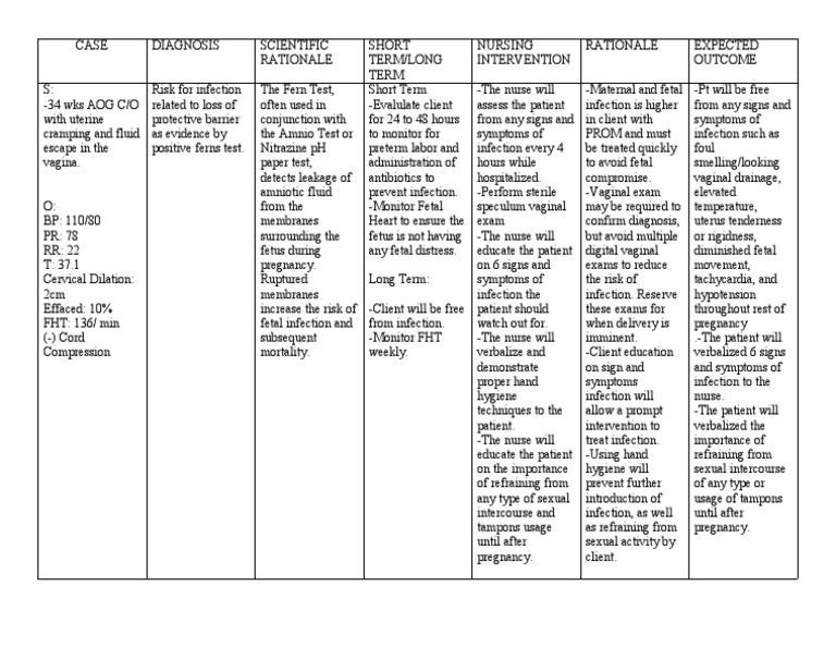 Nursing Care Plan for PROM | PDF | Childbirth | Vagina