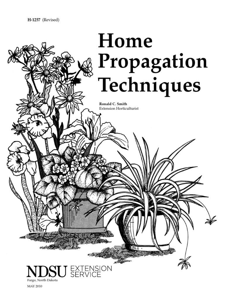Home Propagation Techniques - Smith | PDF | Grafting | Seedling