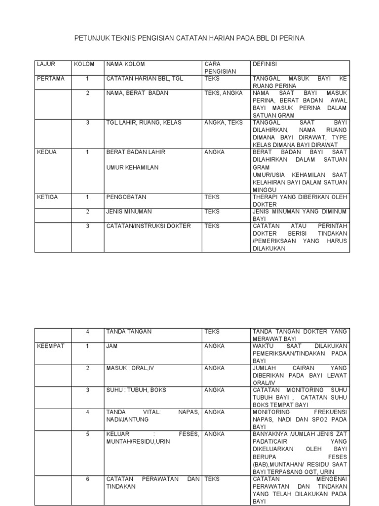 Juknis Catatan Perina | PDF