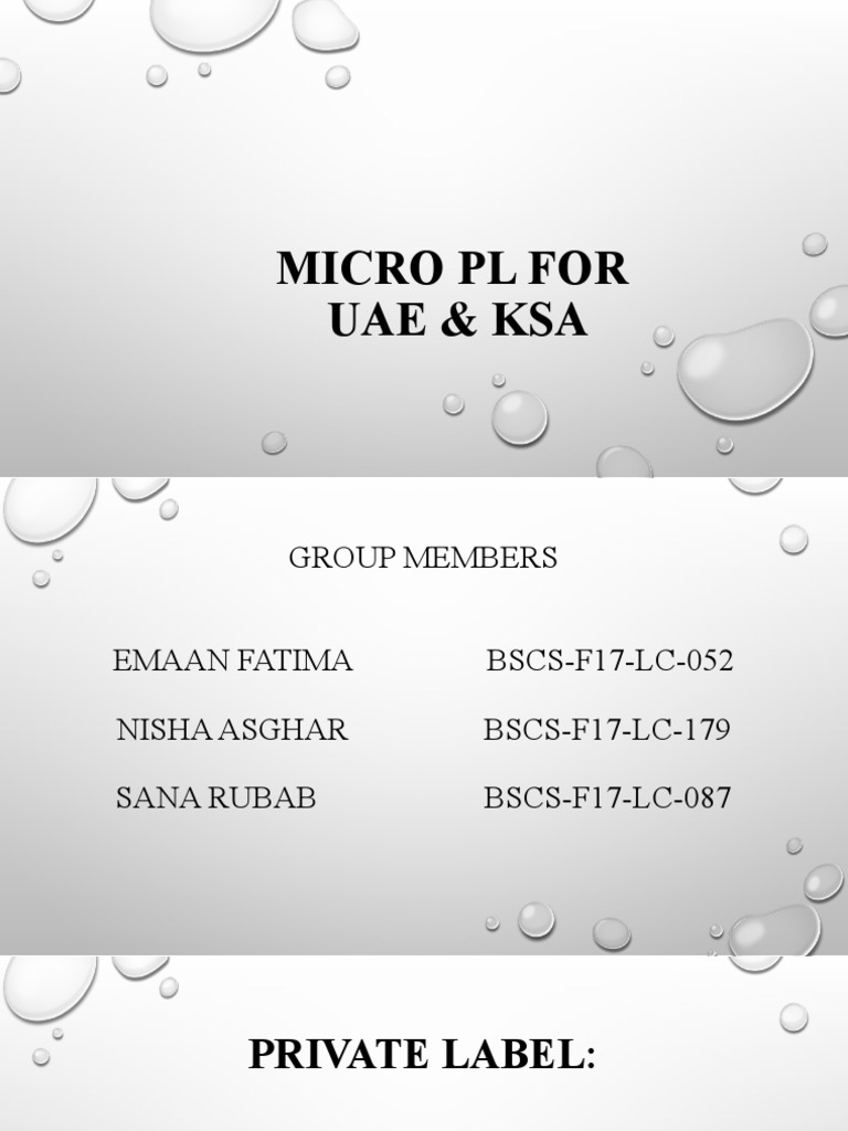 Micro PL For UAE and KSA | PDF | Private Label | Sales