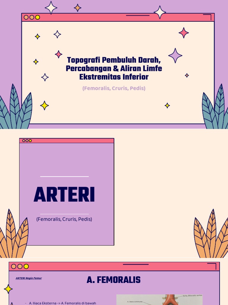 Anatomi Vaskular Ekstremitas Bawah | PDF