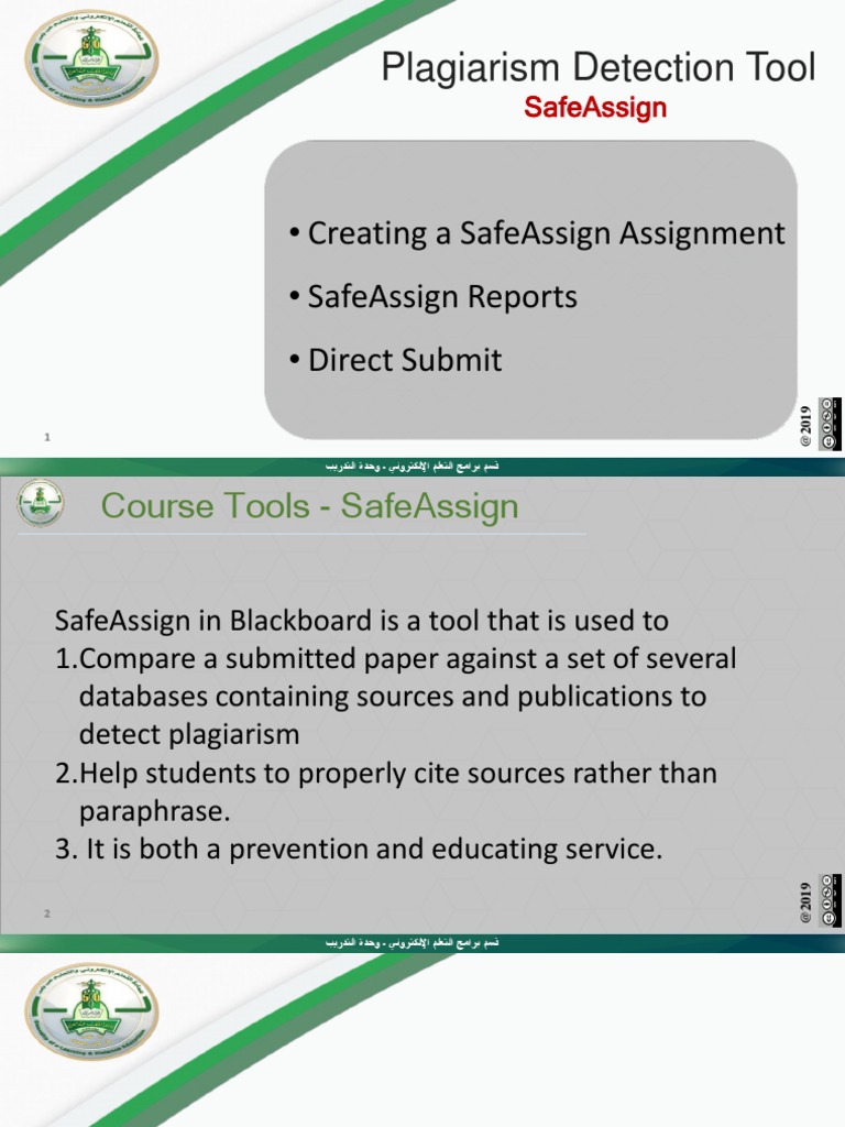 SAFEASSIGN ASSIGNMENT-eng | PDF | Plagiarism | Information Age
