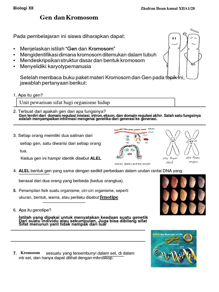 Gen Kromosom Pdf