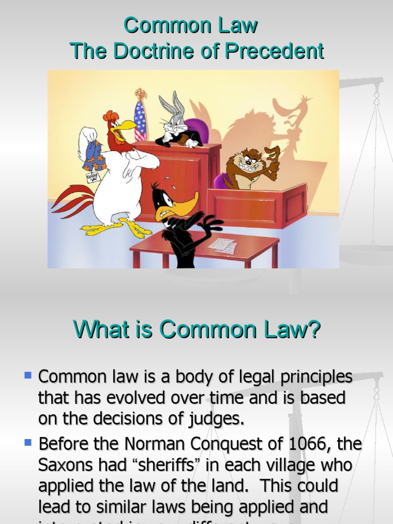 Precedent Presentation | PDF | Precedent | Common Law
