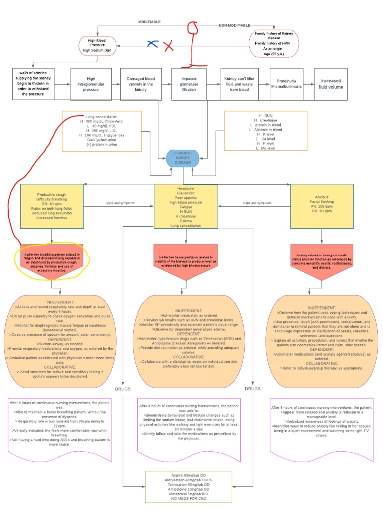 CKD + HPN Concept Map DRAFT | PDF | Kidney | Hypertension
