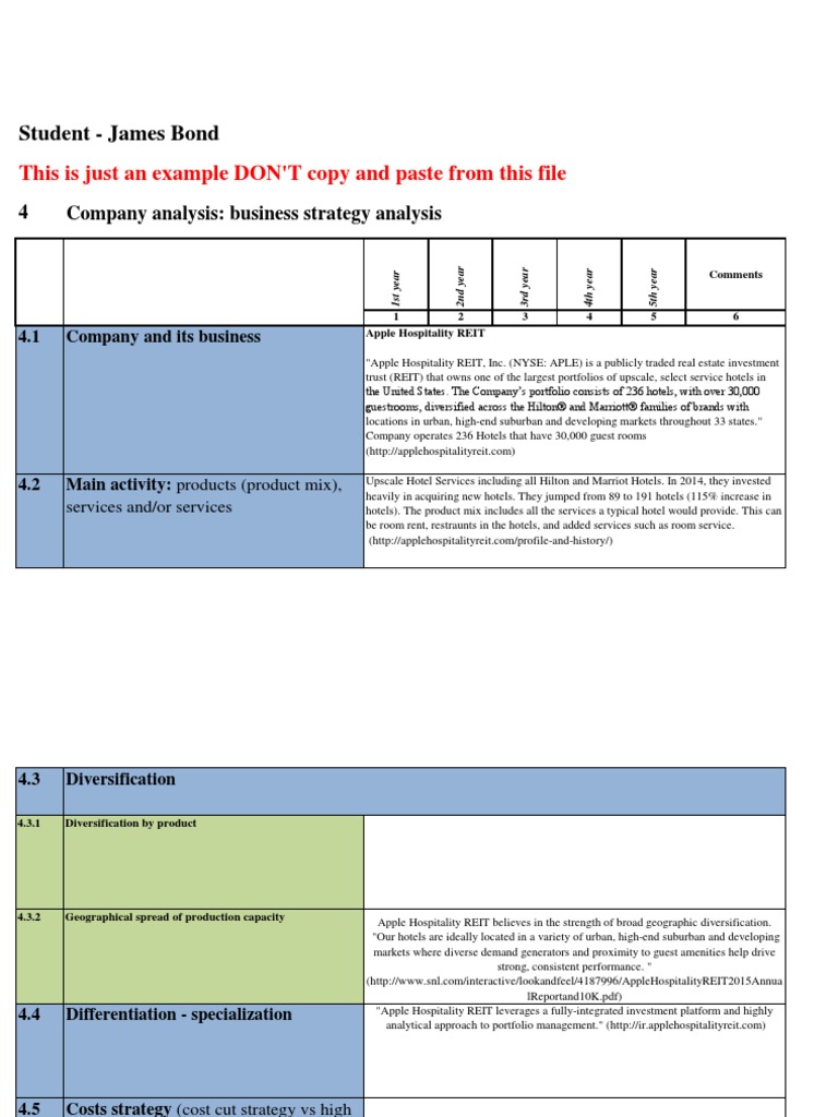 Example - Assigniment 3.1 Company Analysis-Business Strategy Analysis ...