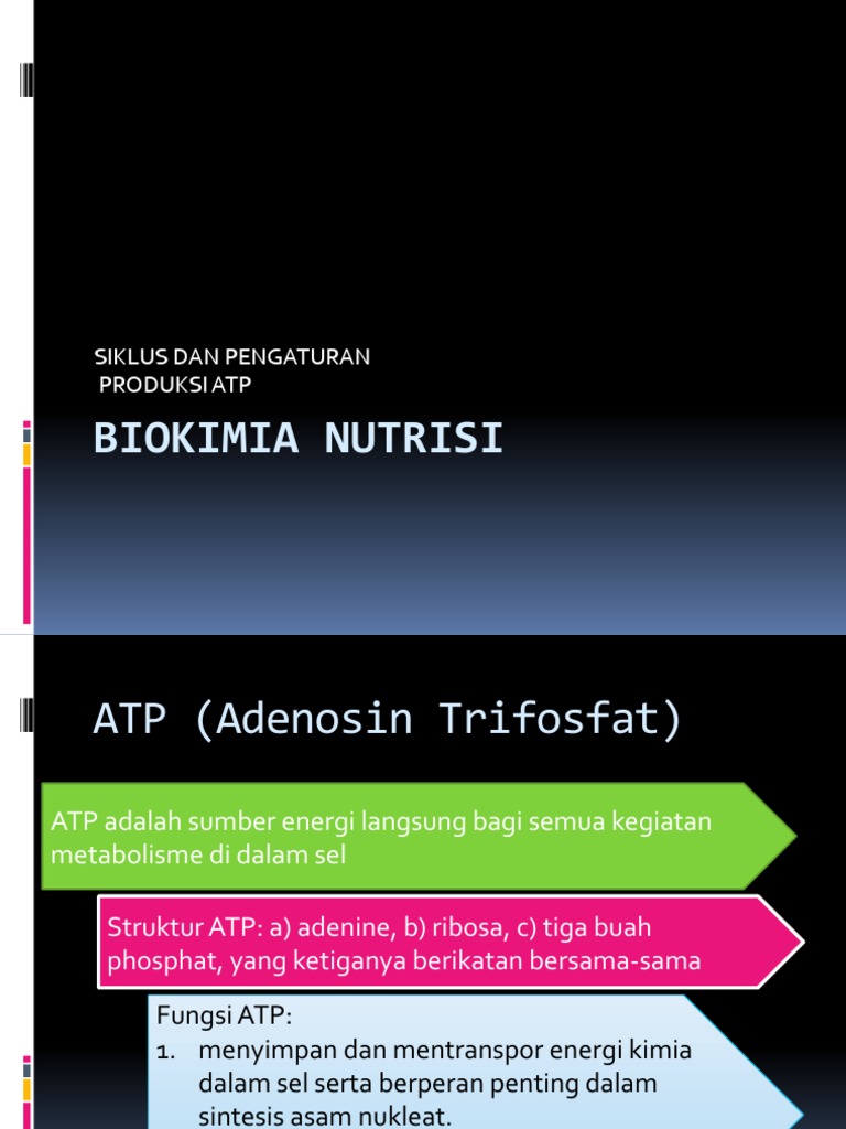 Biokimia Nutrisi Pertemuan 2 | PDF