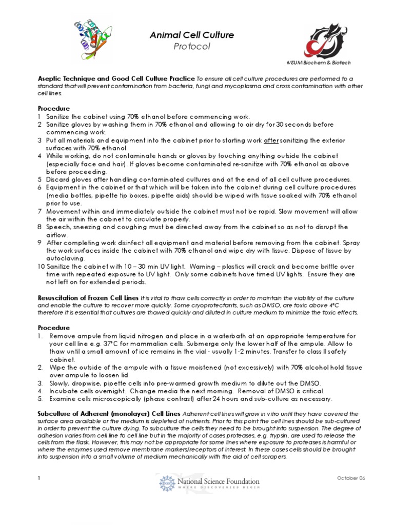 Cell Culture Protocol | PDF | Cell Culture | Growth Medium