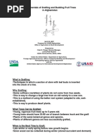 Asexual Propagation by Inarching | PDF | Grafting | Trees