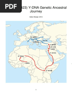 Origins & History of Haplogroup I2 (Y-DNA) | PDF | Slavs | Celts