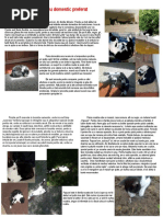 Pajiștile de Stepă Și Pajistile Alpine | PDF