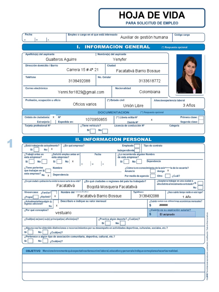 Formato Hoja de Vida Minerva 1003 PDF | PDF