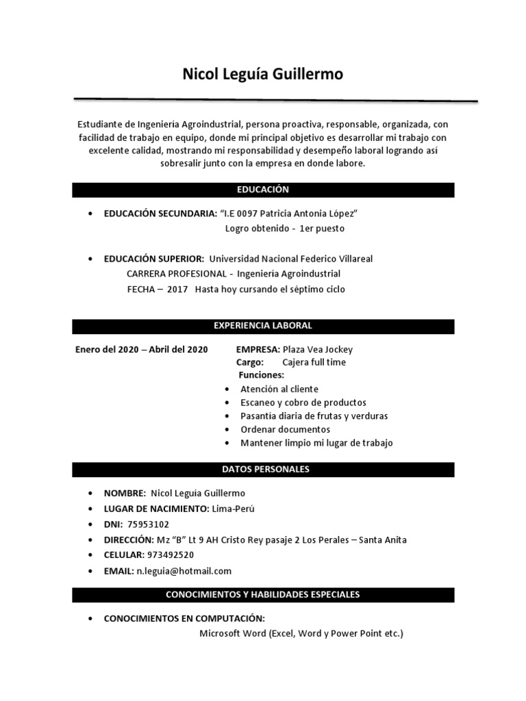 Nicol Leguía G. CV | PDF