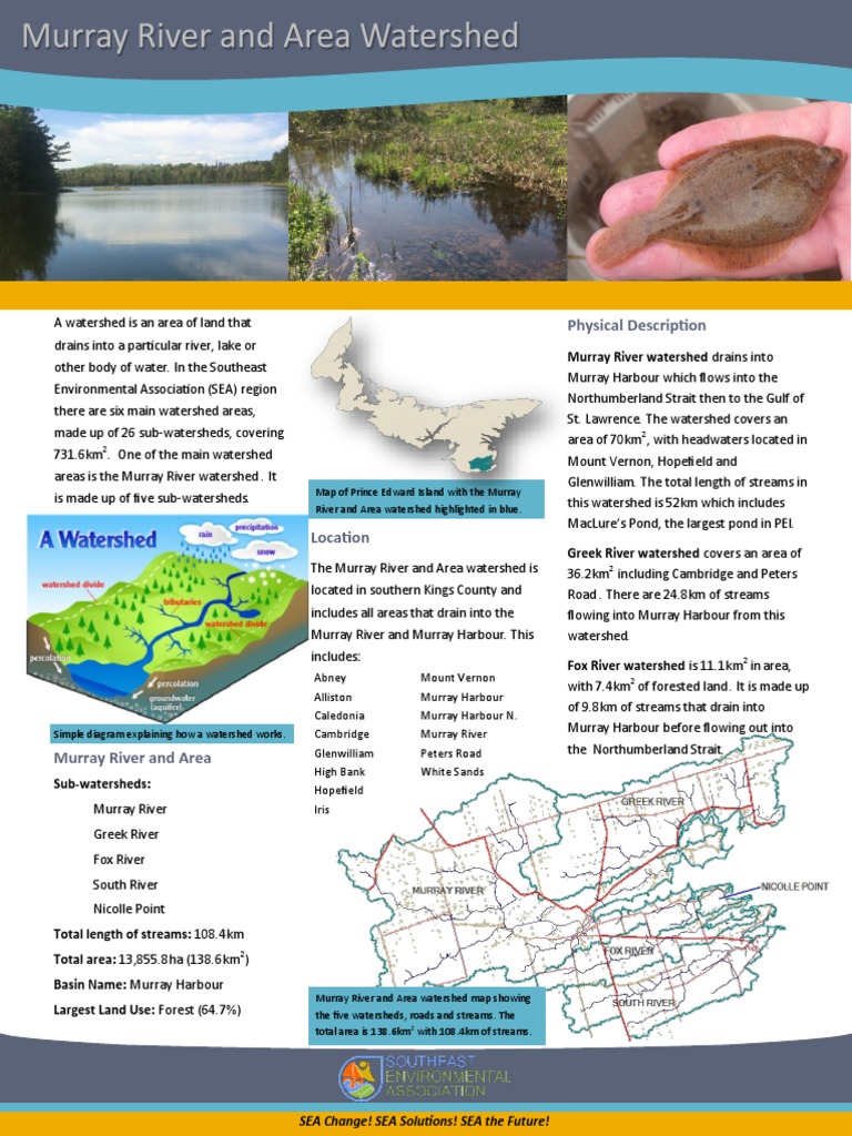 Murray River Fact Sheet | PDF | River | Stream