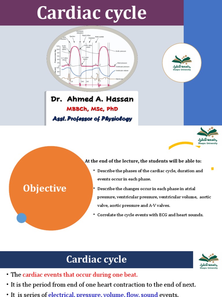 Cardiac Cycle: Dr. Ahmed Al-Sayed Hassan | PDF | Ventricle (Heart ...