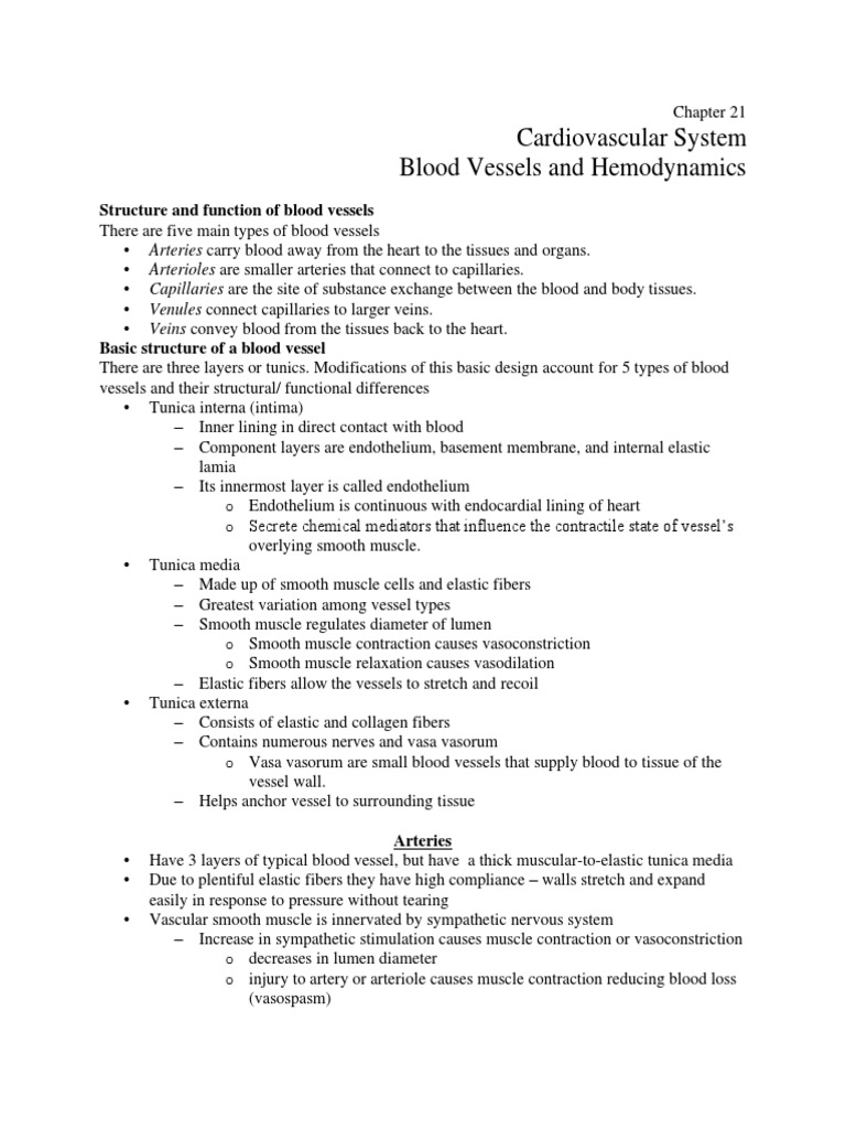 Week 6 - 7 Handout - Blood Vessels | PDF | Artery | Circulatory System
