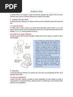 Planos Hodge, Lee, Quintos 1 | PDF | Parto | Pelvis