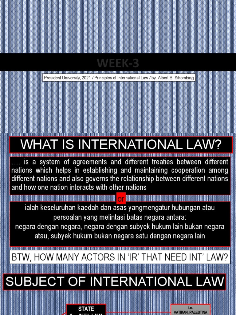 Overview of International Law Principles | PDF | International Law | Treaty