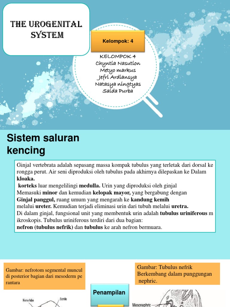 CBR Struktur Hewan | PDF