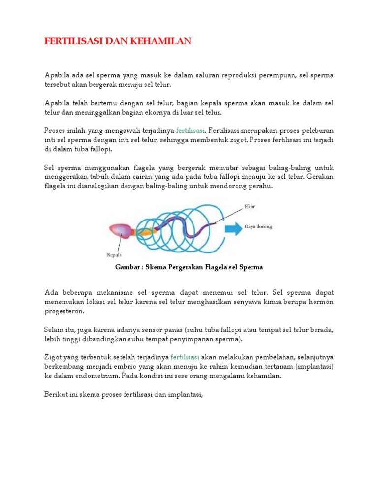 Fertilisasi Dan Kehamilan | PDF | Kesehatan Holistik