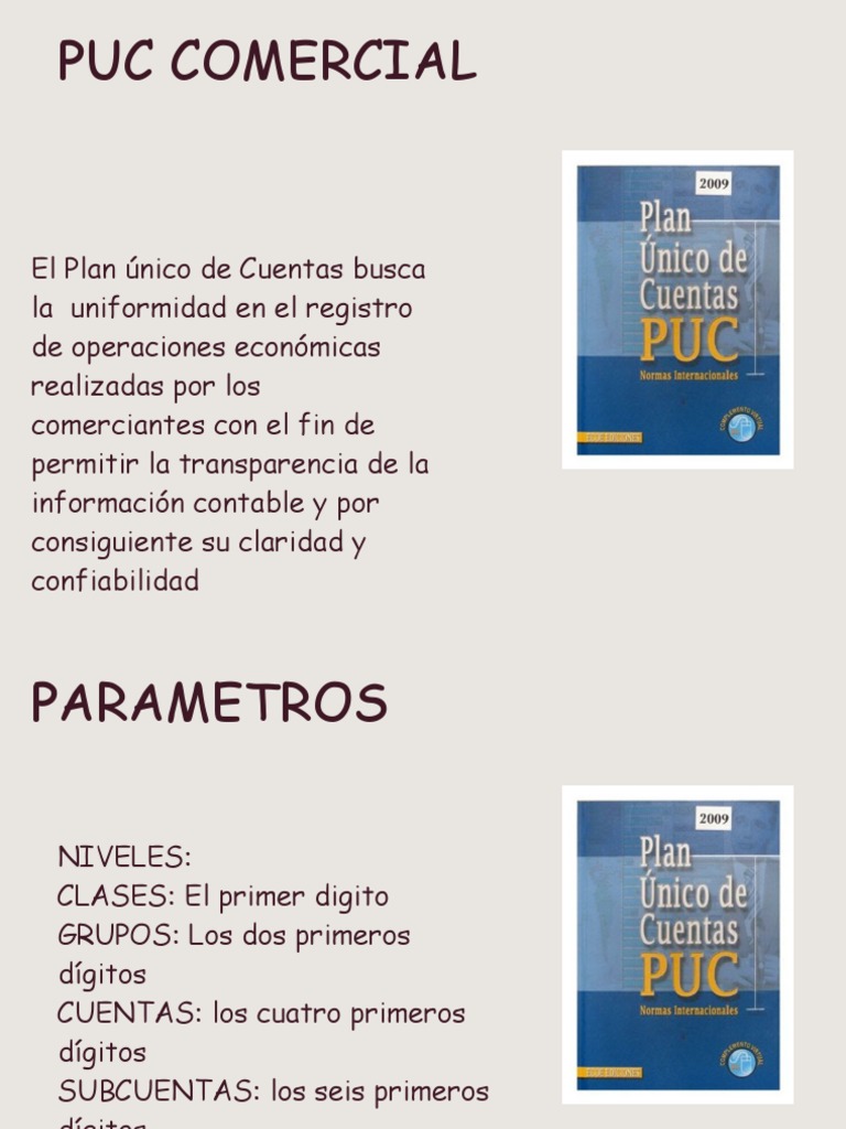 Puc Comercial | PDF