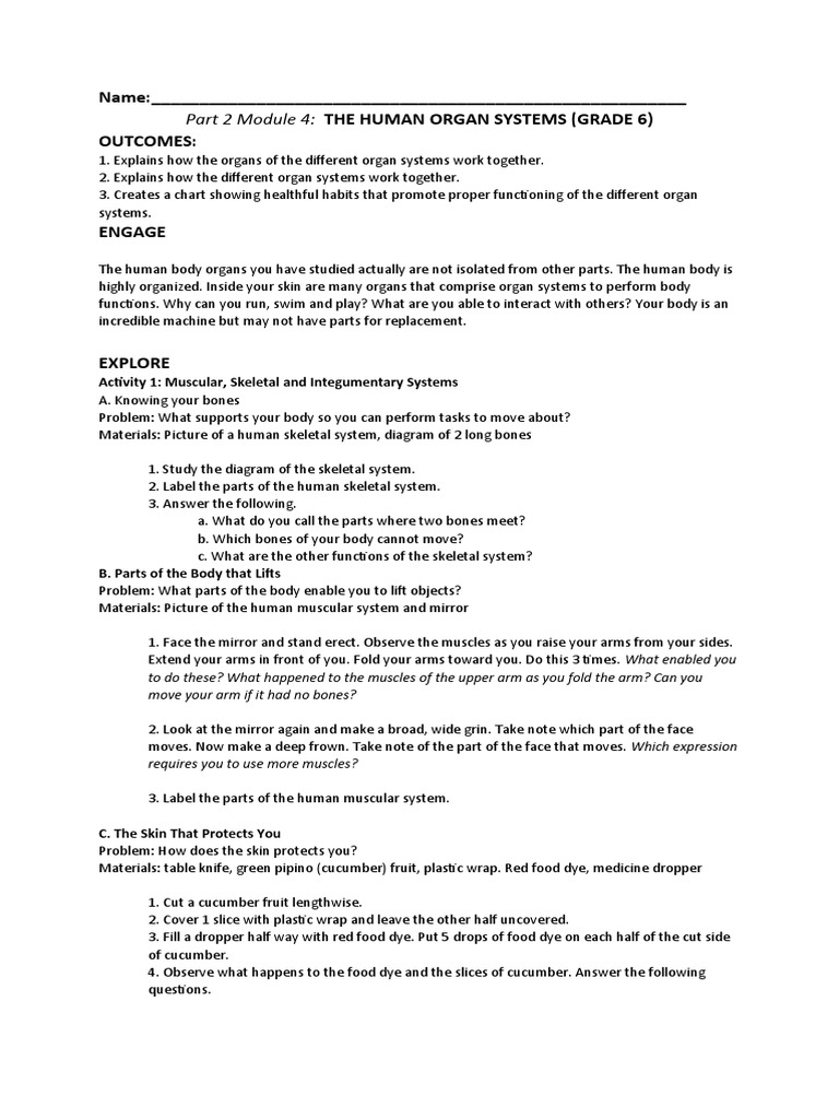 The Human Organ Systems (Grade 6 | PDF | Breathing | Human Body
