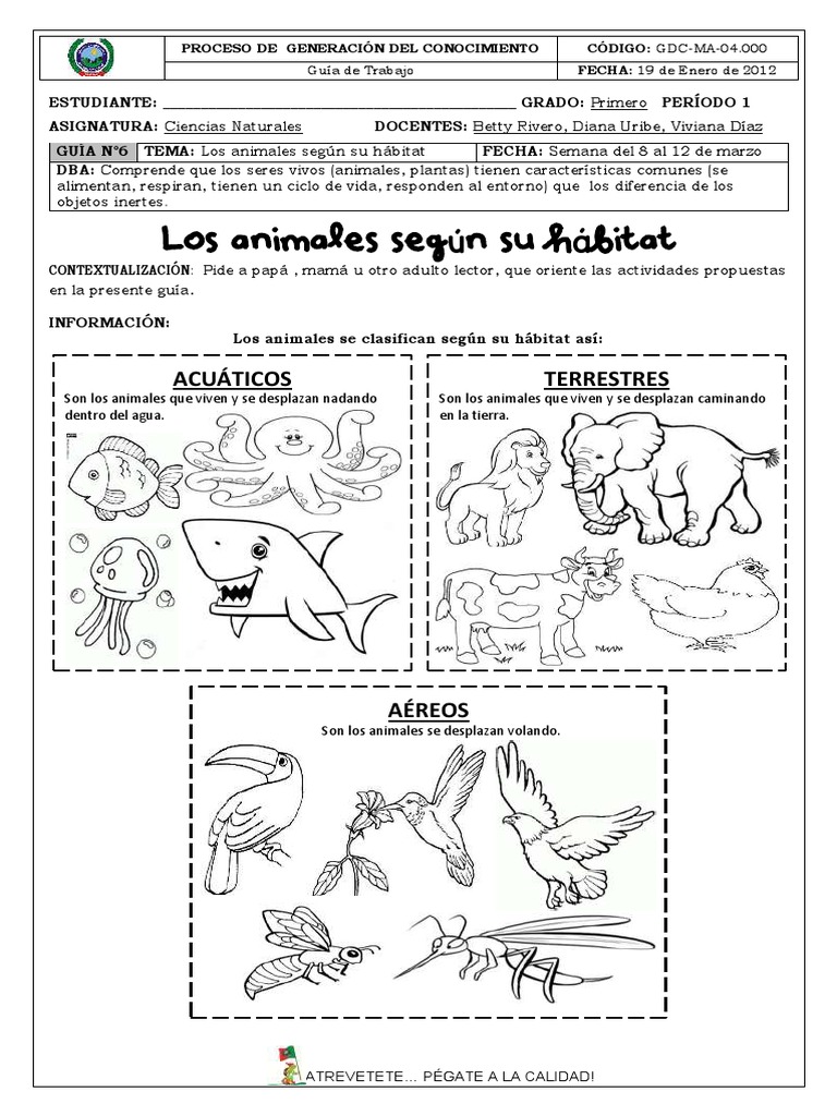 Guía 6 Ciencias Naturales (Los Animales Según Su Habitat) | PDF