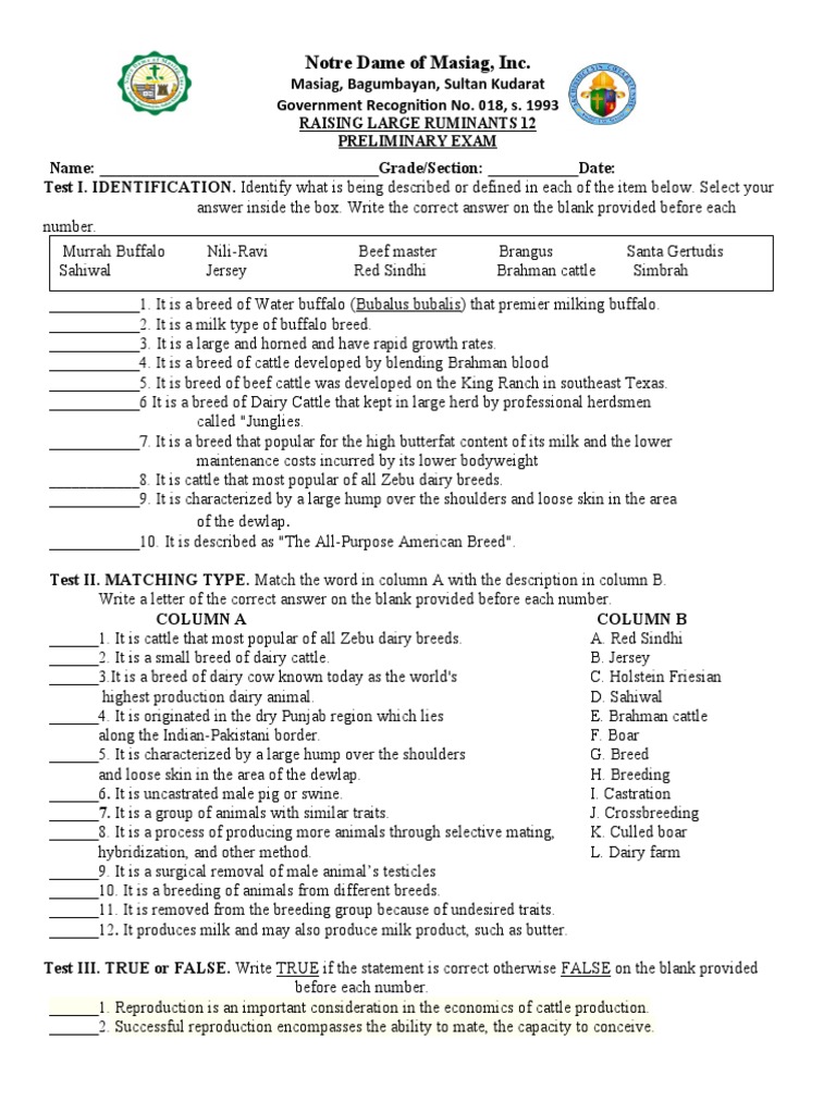 Raising Large Ruminants 12 Exam 2nd Sem | PDF | Dairy Cattle | Cattle