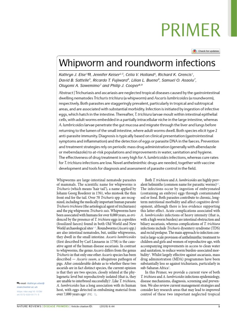 Primer: Whipworm and Roundworm Infections | PDF | Dendritic Cell | T ...