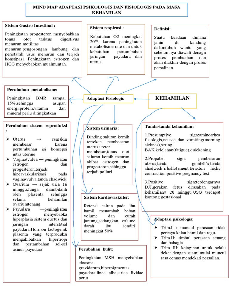 Mind Map Hamil | PDF
