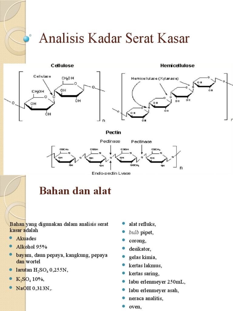 Analisis Kadar Serat Kasar | PDF