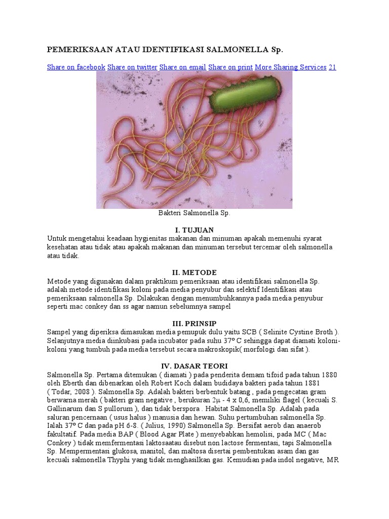 PEMERIKSAAN ATAU IDENTIFIKASI SALMONELLA SP | PDF | Sains & Matematika