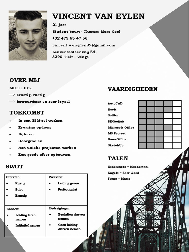 Vincent Van Eylen: Over Mij Vaardigheden | PDF