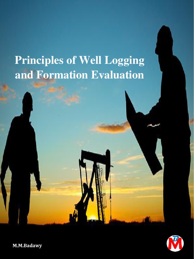 Principles of Well Logging and Formation Evaluation | PDF | Physical ...